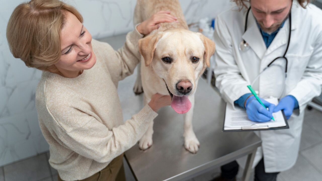 Vet Services In Greer, SC 29650 | Riverside Vet