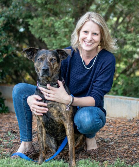 Veterinarian In Greer, SC 29650 | Riverside Vet