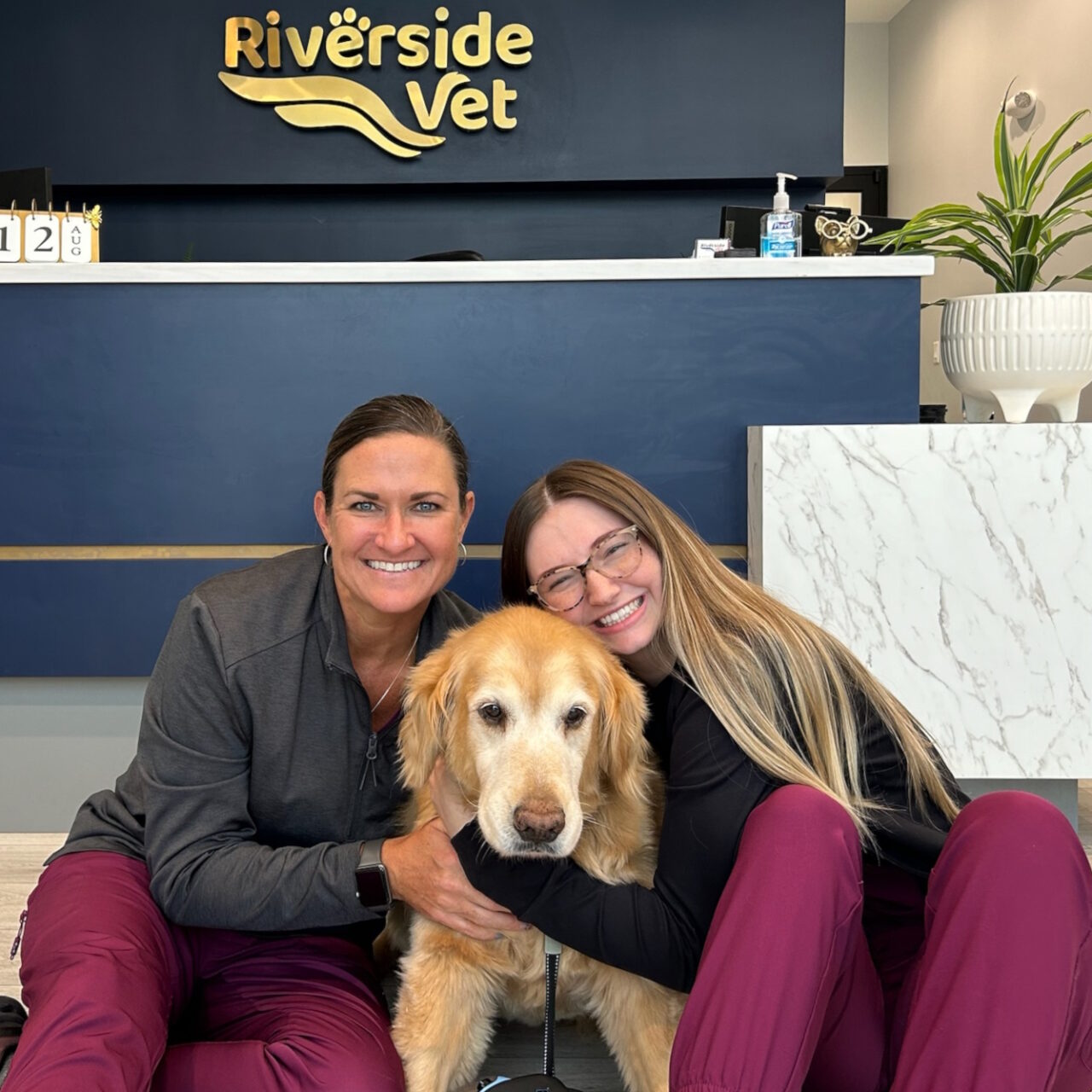 Best Veterinary Hospital In Greer, SC 29650 | Riverside Vet
