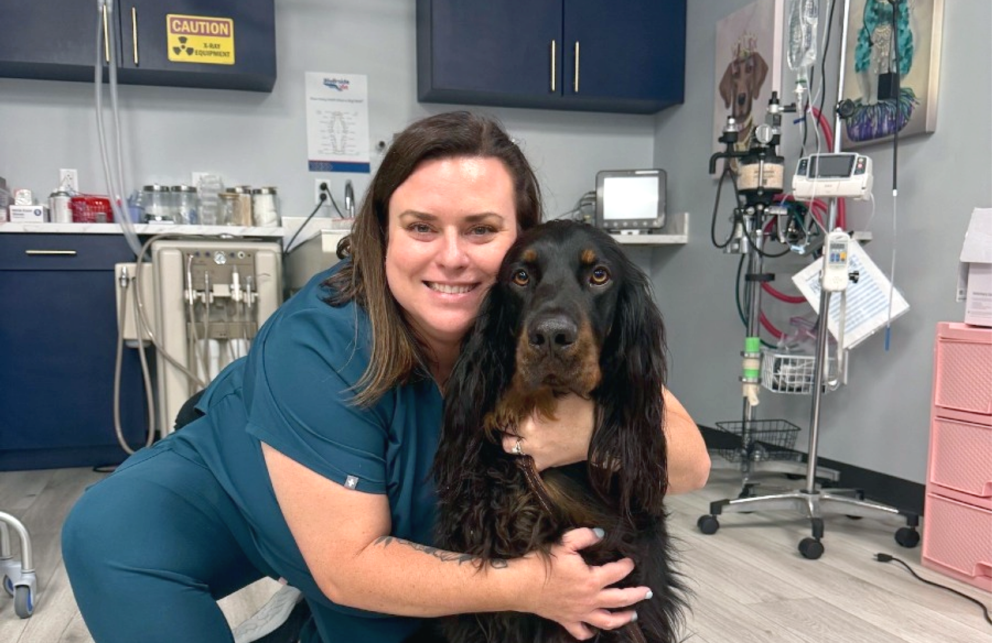 Payment Plans | Riverside Vet